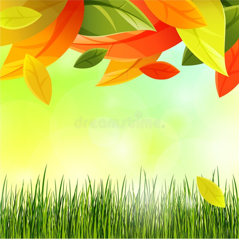 Autumn Grass with Fall Leaves on White Background. Set of Autumn ...