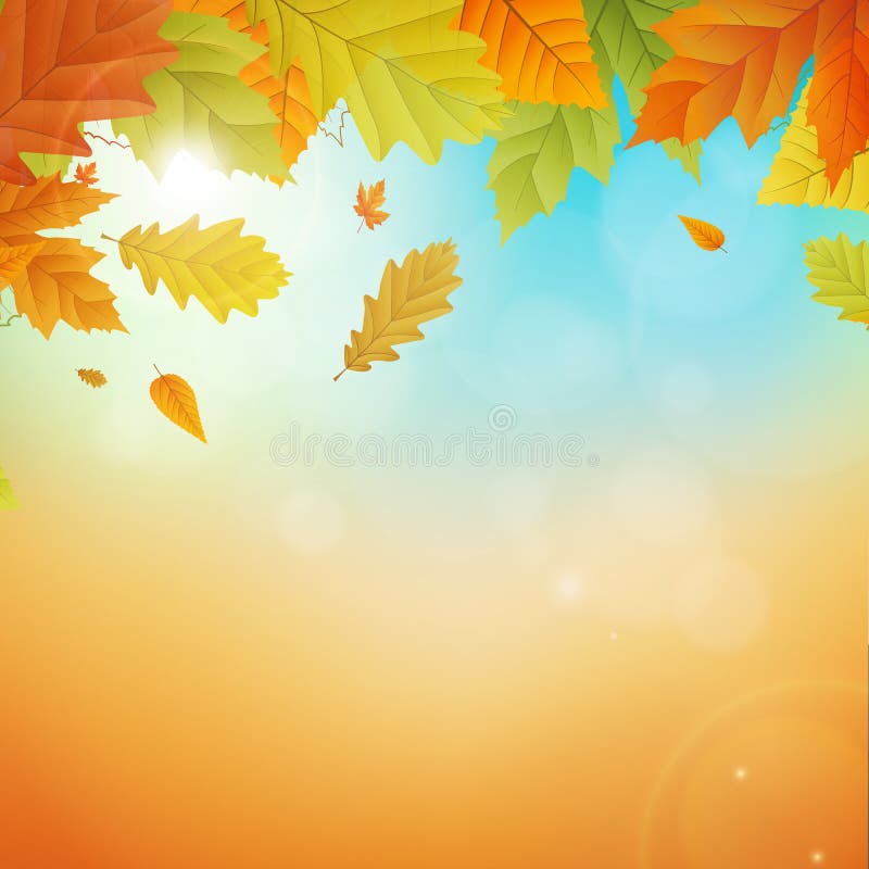Autumn Background with Leafs Stock Vector - Illustration of fall ...