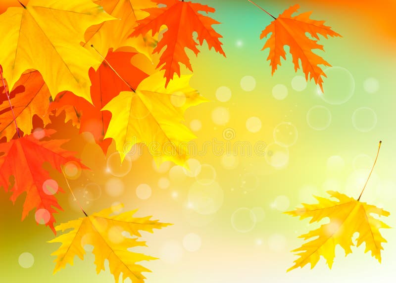 Autumn Background with Leaves. Back To School. Stock Vector ...