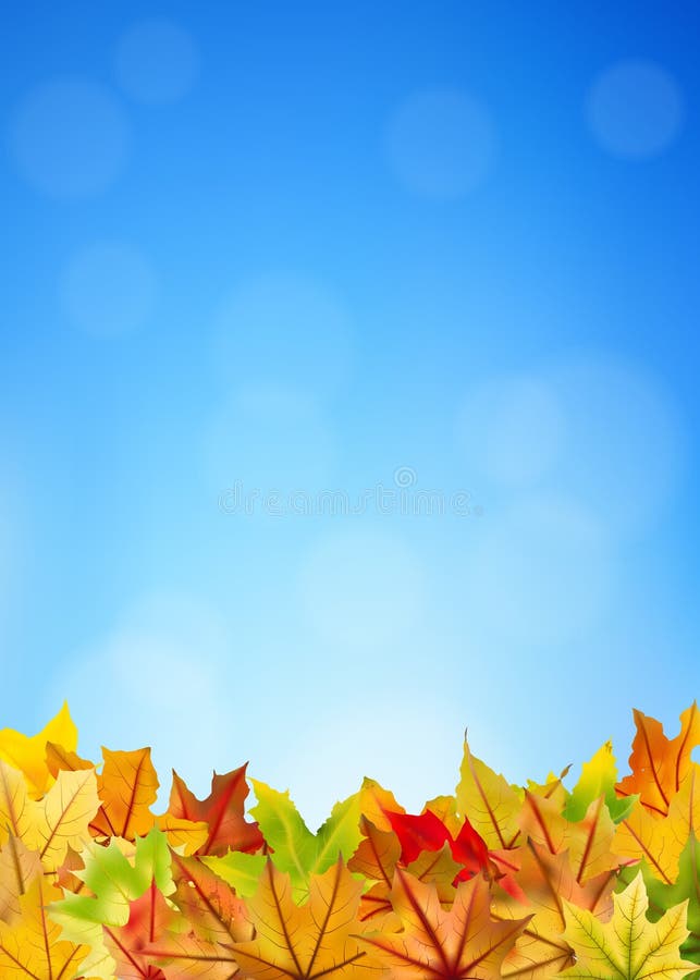 Autumn background stock vector. Illustration of dried - 44099670
