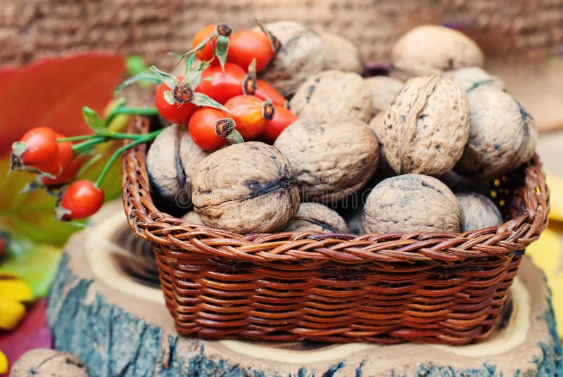 Autumn Background with Natural Elements Stock Photo - Image of garden ...