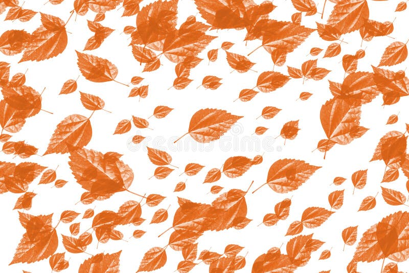 Autumn Background - Numerous Random Leaves Stock Photo - Image of fall ...