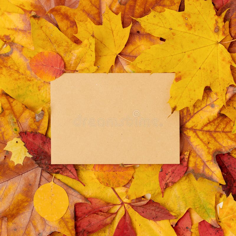 Autumn Background with Paper Sheet and Leaves Stock Photo - Image of ...