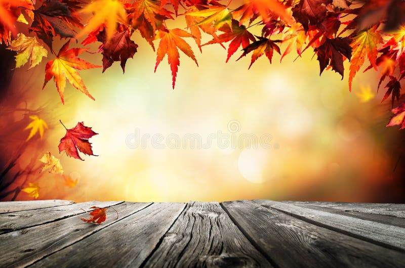 Autumn Spa Background with Red Leaves Stock Image - Image of space ...