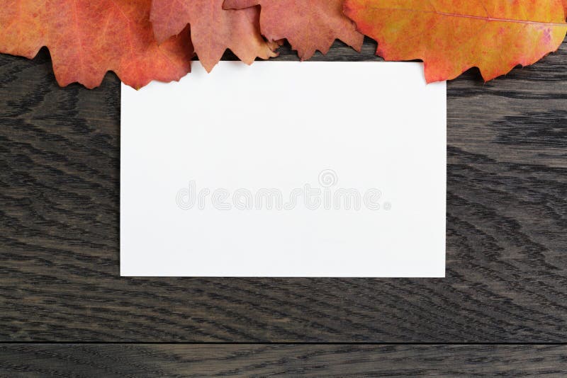 Autumn Background with Red Oak Leaves on Stained Oak Table Stock Image ...