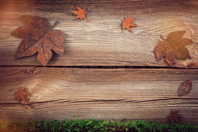 Autumn Background with Rusty Leaves Stock Image - Image of rusty ...