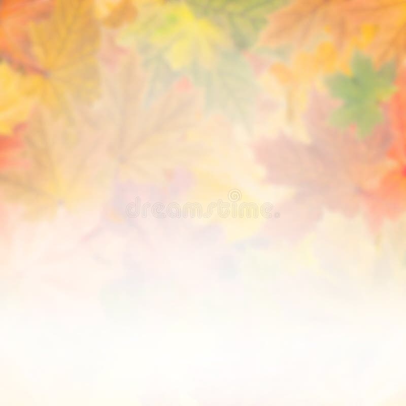 Autumn background 011 stock photo. Image of banner, leaf - 33268584