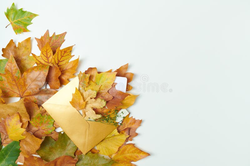 Fall Newsletter Background Stock Photos - Free & Royalty-Free Stock ...