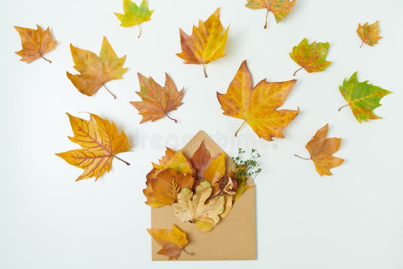 Fall Newsletter Background Stock Photos - Free & Royalty-Free Stock ...