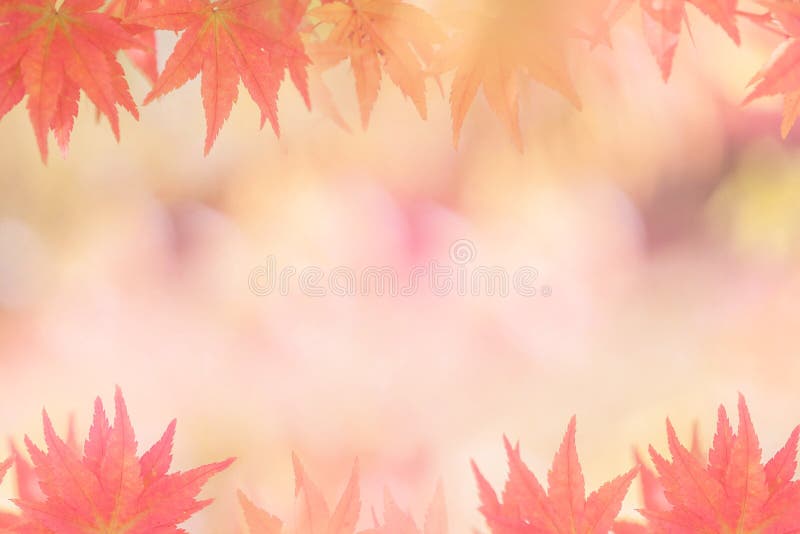 Autumn Backgrounds [Soft Focus] Stock Photo - Image of leaf, beautiful ...