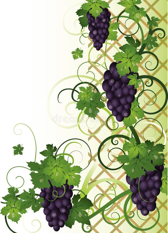 Autumn banner with grapes stock vector. Illustration of design - 32685027