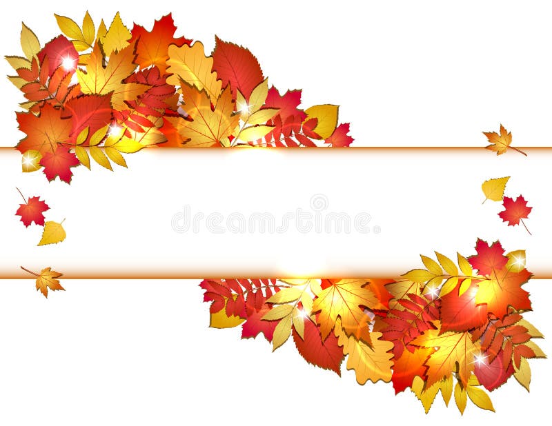 Autumn banner with leaves. stock vector. Illustration of foliage - 34229140