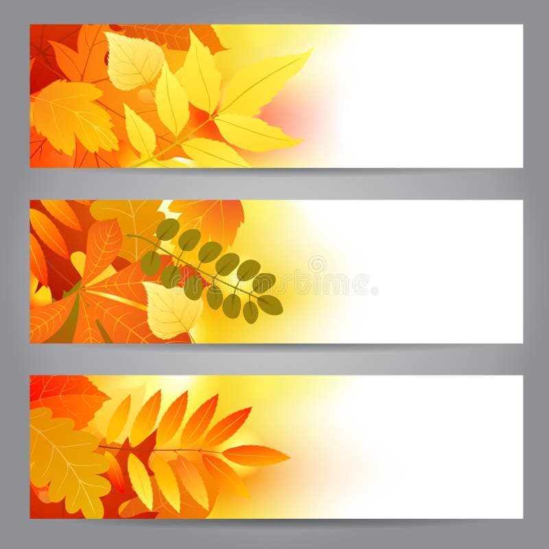 Vector Banners With Colorful Autumn Leaves Stock Vector Illustration