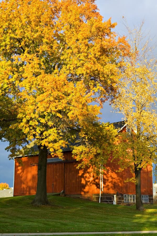 Autumn Barn stock photo. Image of sunlight, shadows, seasonal - 1451806