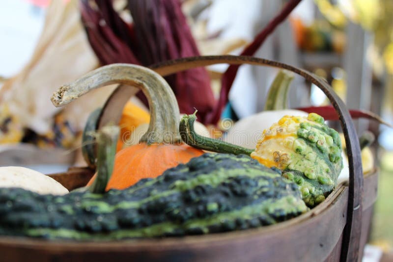 Autumn Basket Arrangement with Gourds Stock Image - Image of garden ...