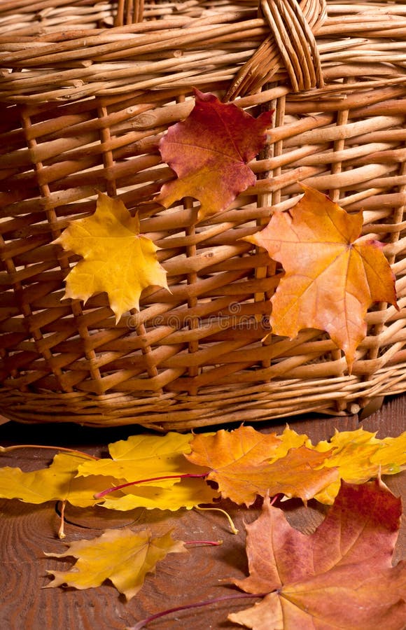 Autumn basket stock image. Image of frame, maple, october - 42833445