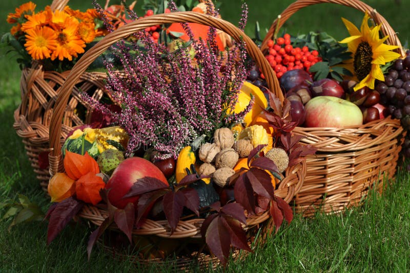 Autumn in basket stock photo. Image of fall, healthy - 32174626
