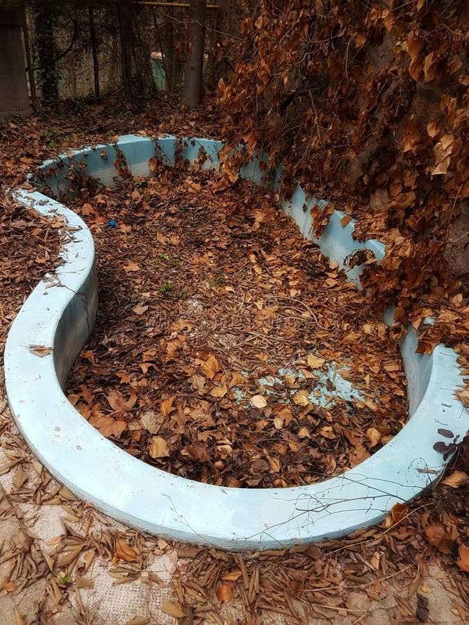 Autumn bath stock image. Image of autumn, organic, leaves - 211196837