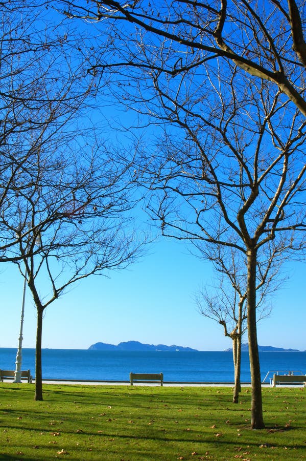 Autumn in the beach stock image. Image of colorful, walk - 12231019