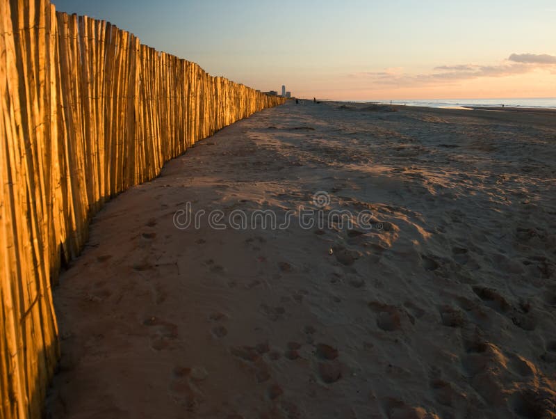 Autumn at the beach stock photo. Image of sand, netherlands - 16557062