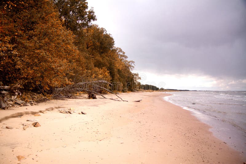 Autumn beach stock image. Image of beach, horizon, region - 38391035
