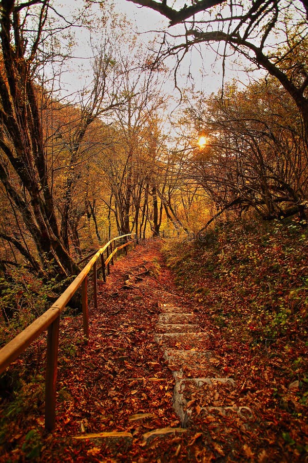 Autumn Beautiful Panoramic Rural Landscape Stock Photo - Image of ...