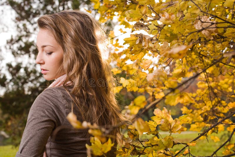Autumn beauty stock image. Image of gray, jacket, yellow - 18465917