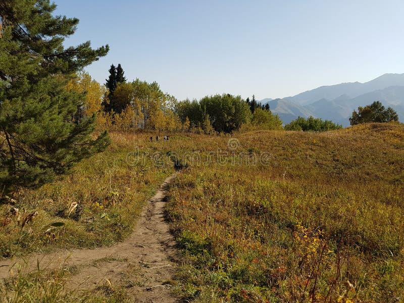 The Beginning of Autumn in the Mountains. Stock Image - Image of ...
