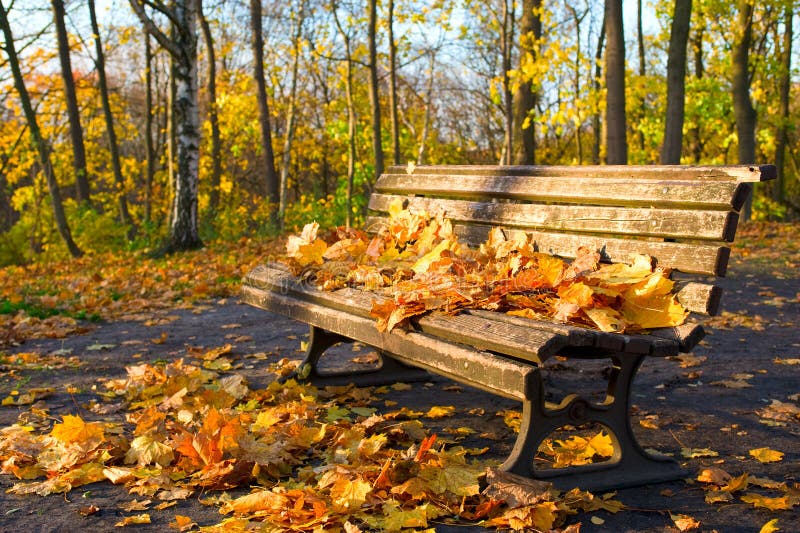 Autumn bench stock photo. Image of season, colorful, october - 11397352