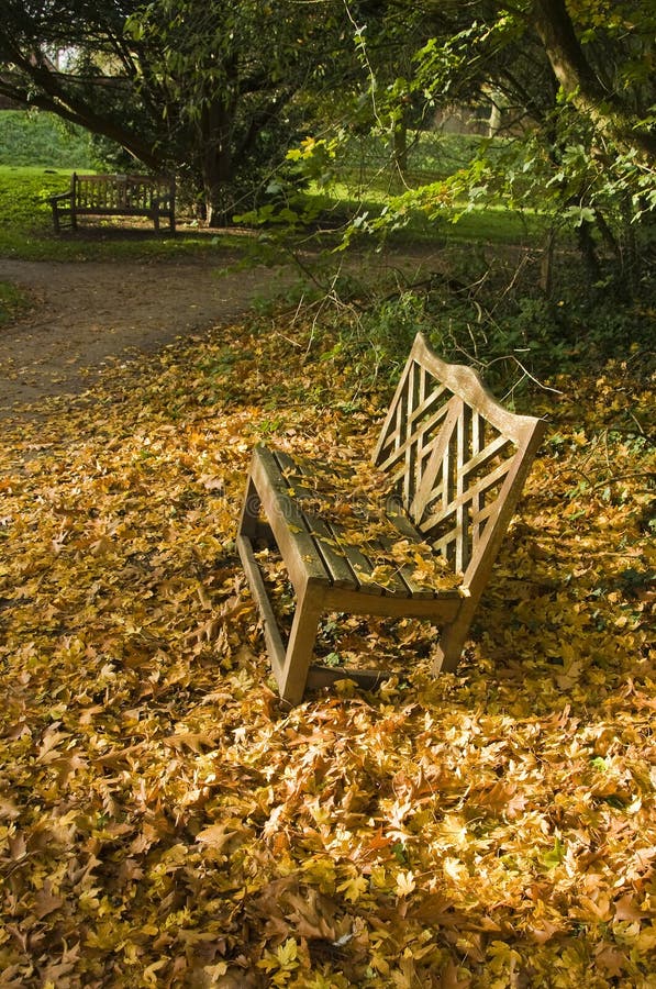 Autumn Bench stock photo. Image of path, branch, green - 7264674