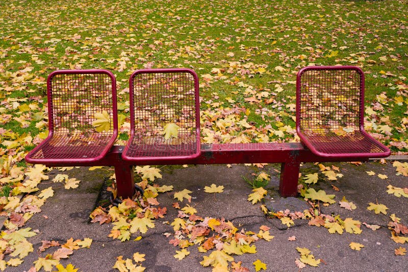 Autumn bench stock photo. Image of foliage, golden, natural - 79208448