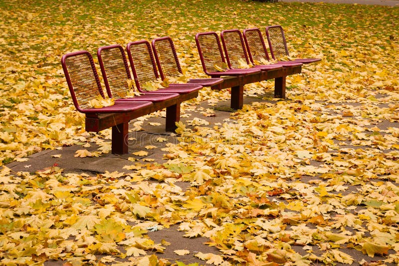 Autumn bench stock photo. Image of beautiful, garden - 79208166
