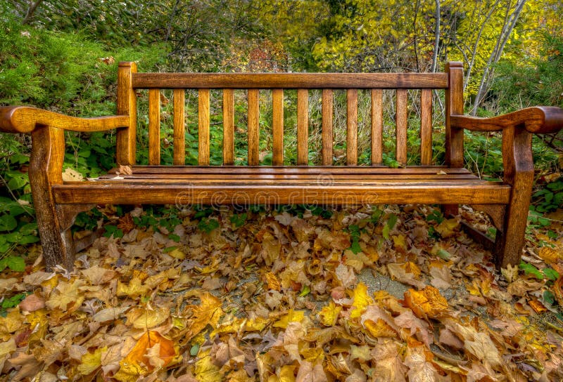Autumn bench in park stock photo. Image of colour, peace - 60772256