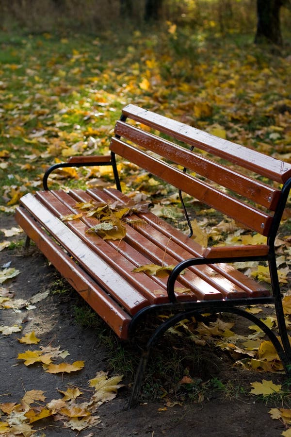 Autumn bench in park stock image. Image of flora, leaves - 11391185