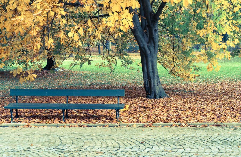 Autumn park benches stock image. Image of october, plants - 34602669
