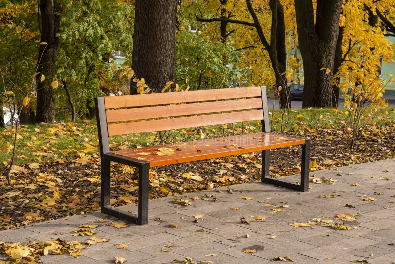 Autumn Bench in a Park Full of Falling Yellow Leaves. Day Stock Photo ...