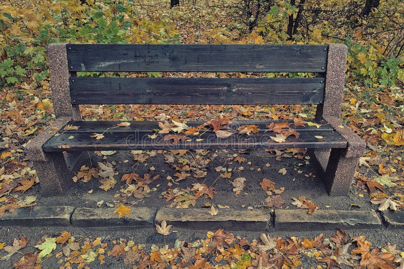Autumn - Bench in Autumn Park. Bench in Autumn Park Stock Photo - Image ...