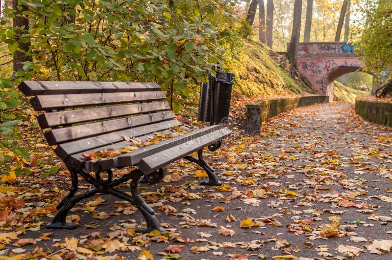 Autumn bench stock photo. Image of season, colorful, october - 11397352