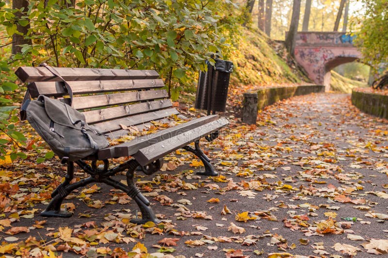 Autumn Bench and Path To the Bridge Stock Image - Image of autumn, fall ...