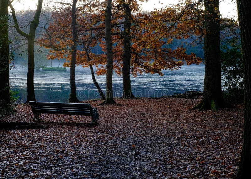 Autumn Bench Scene Sutton Park Birmingham Stock Image - Image of park ...