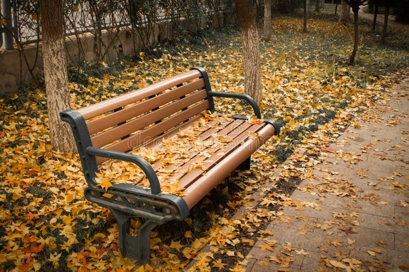 Autumn bench in park stock image. Image of warmth, pretty - 40365335