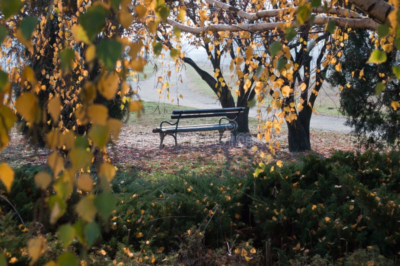 Autumn bench stock photo. Image of season, colorful, october - 11397352