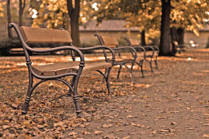 Autumn benches stock photo. Image of leisure, autumn, park - 3024874
