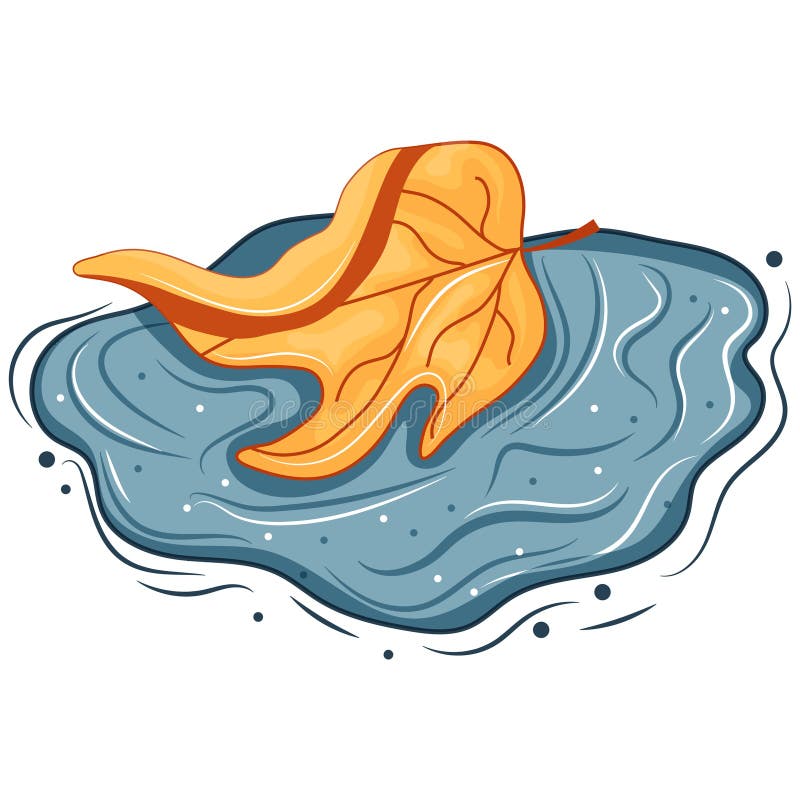 Autumn Bent Leaf of a Linden Tree Lies in a Blue Puddle of Water Stock ...