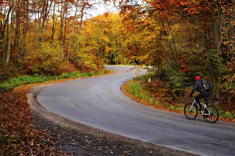 Autumn bike riding stock image. Image of lifestyle, alone - 16740947