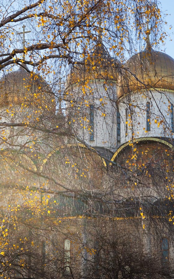 Autumn birch stock image. Image of russia, assumption - 34969677