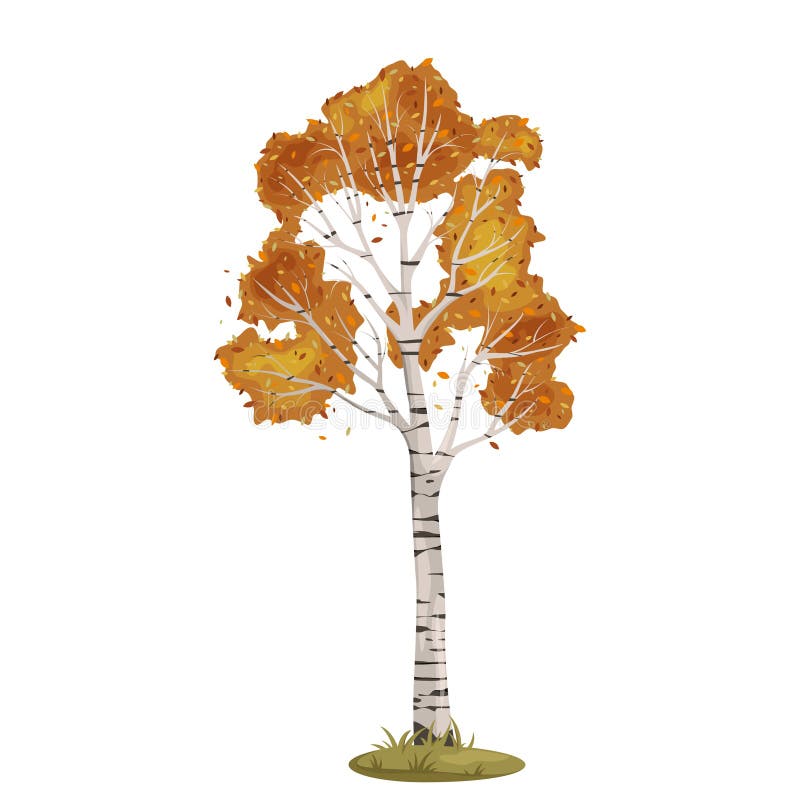 Birch Tree Clipart Stock Illustrations – 5,645 Birch Tree Clipart Stock ...