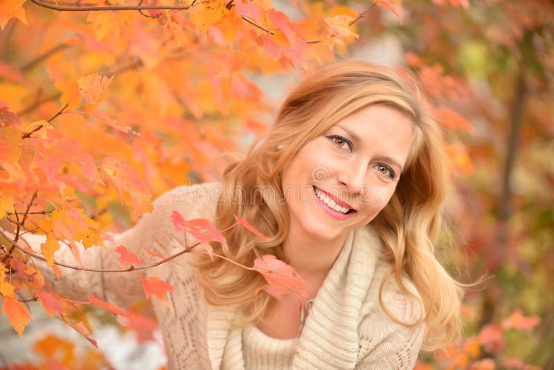 Autumn Blond I stock image. Image of lifestyle, october - 35893557
