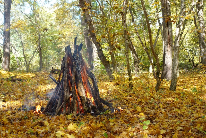 Autumn Bonfire: Stock Images, Free... Stock Image - Image of deciduous ...
