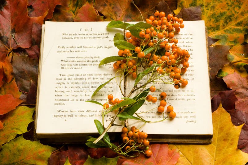 Autumn Book Picture. Image: 6529925